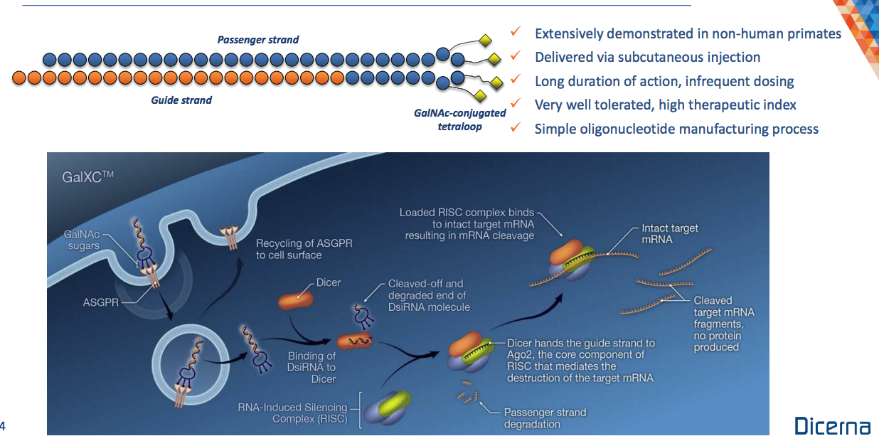 Novo secures Dicerna’s RNAi liver assets - cybermednews.eu